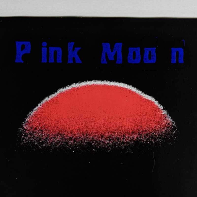 Pink Moon / Free to Be You and Me - Walt Mink